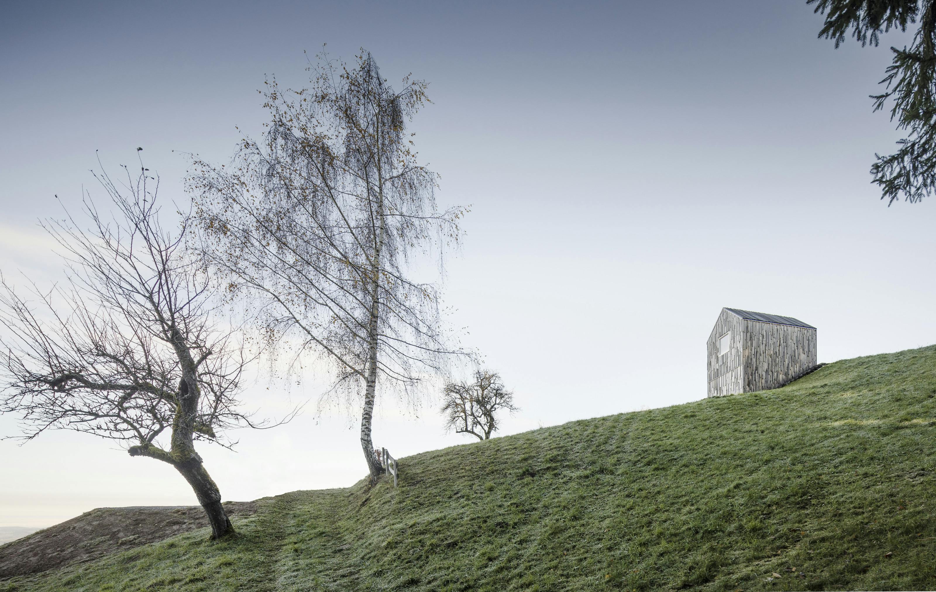 home - Jürgen Haller